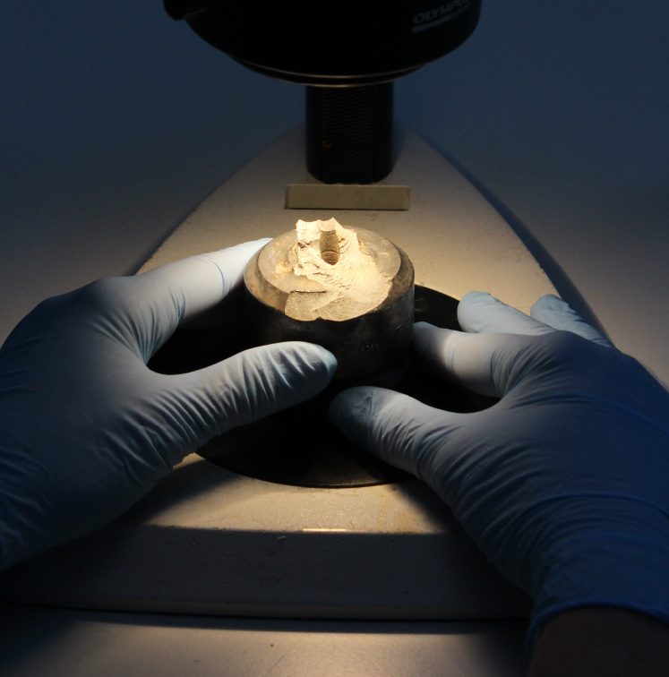 Forensic Ecology & Engineering Consultancy - SureScreen Scientifics