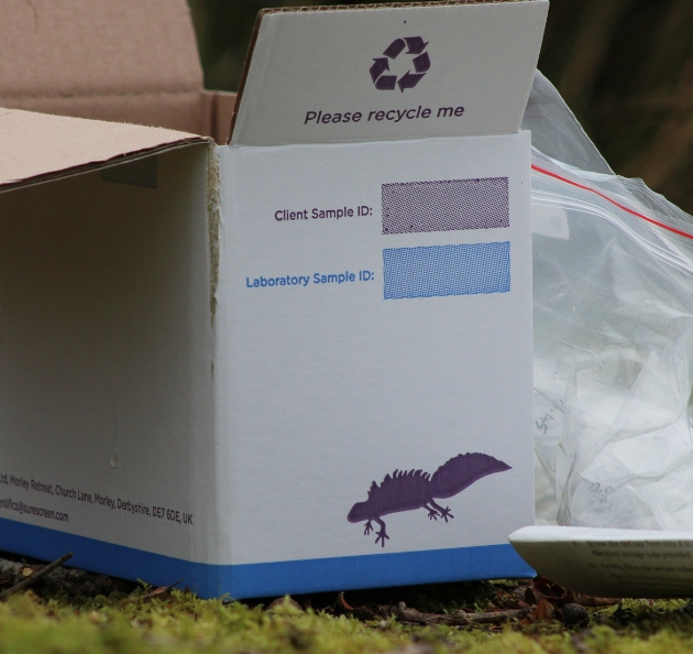 Great Crested Newt eDNA Analysis - SureScreen Scientifics